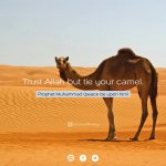 Trust in Allah ~ but Tie your Camel | bismillahschool.net