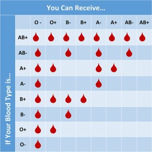 Type O Blood Type – Indigenous Populations | bismillahschool.net